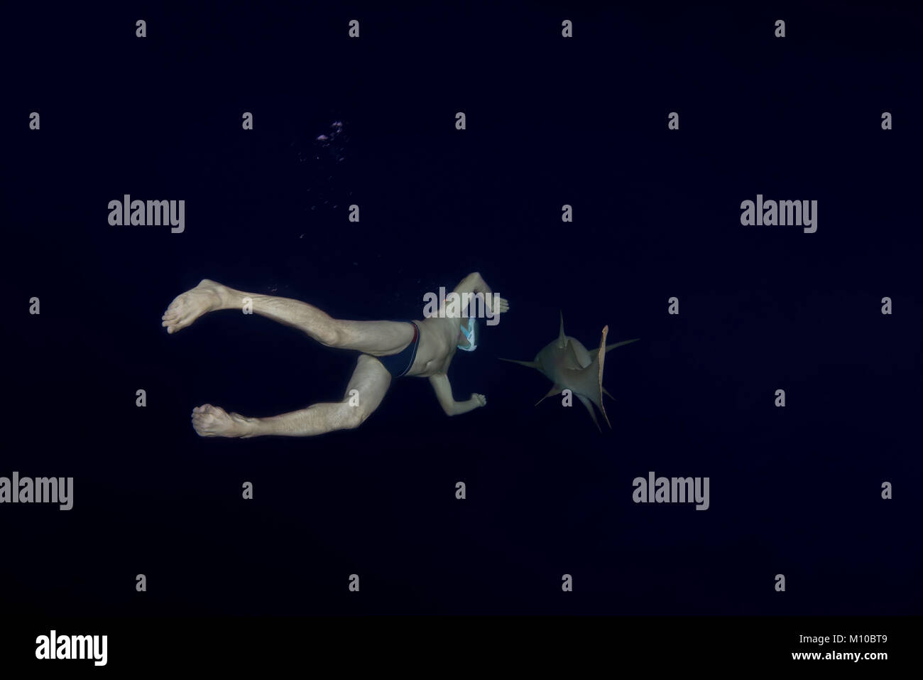 Spitting shark hi-res stock photography and images - Alamy