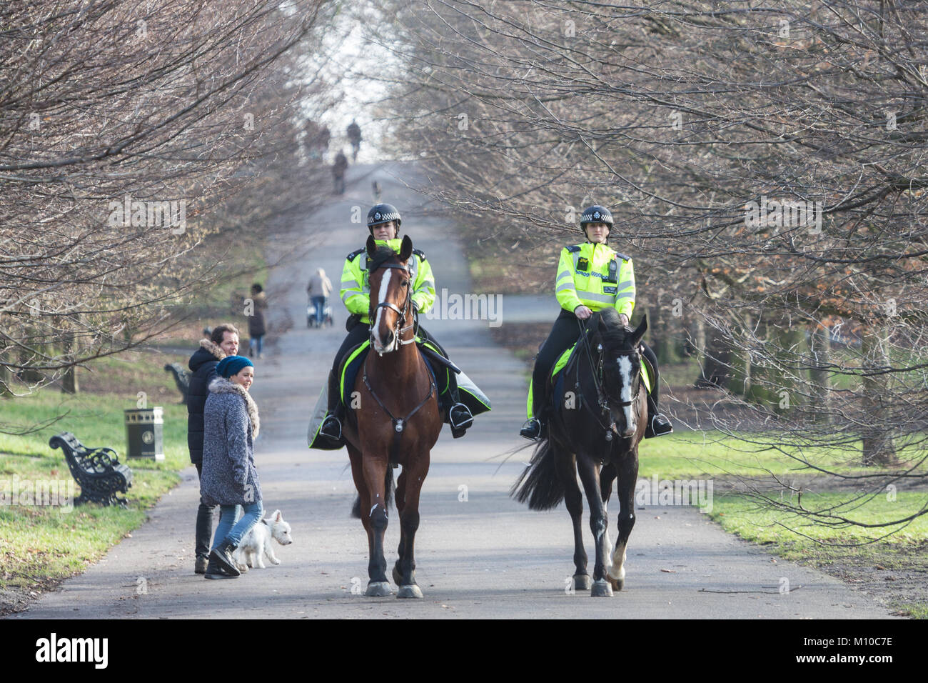 Royal Parks Mounted Police High Resolution Stock Photography and Images ...