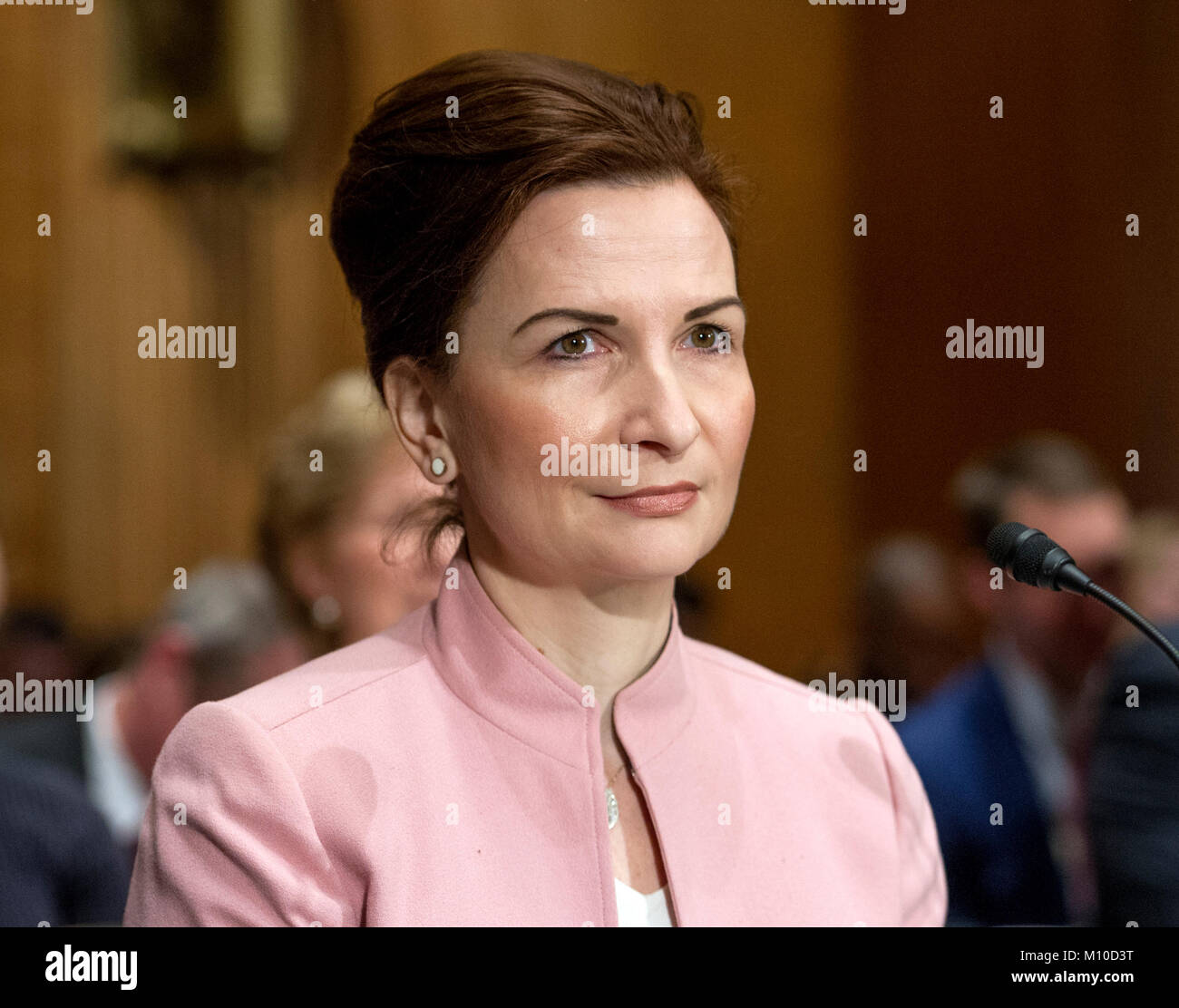 Washington, USA. 23rd Jan, 2018. Jelena McWilliams testifies before the ...
