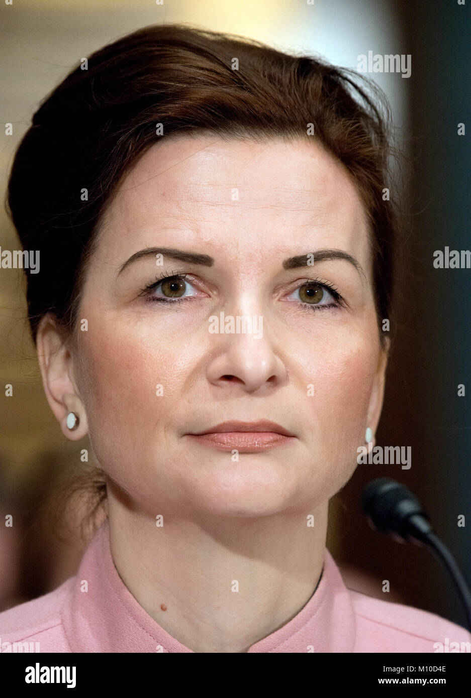 Washington, USA. 23rd Jan, 2018. Jelena McWilliams testifies before the ...
