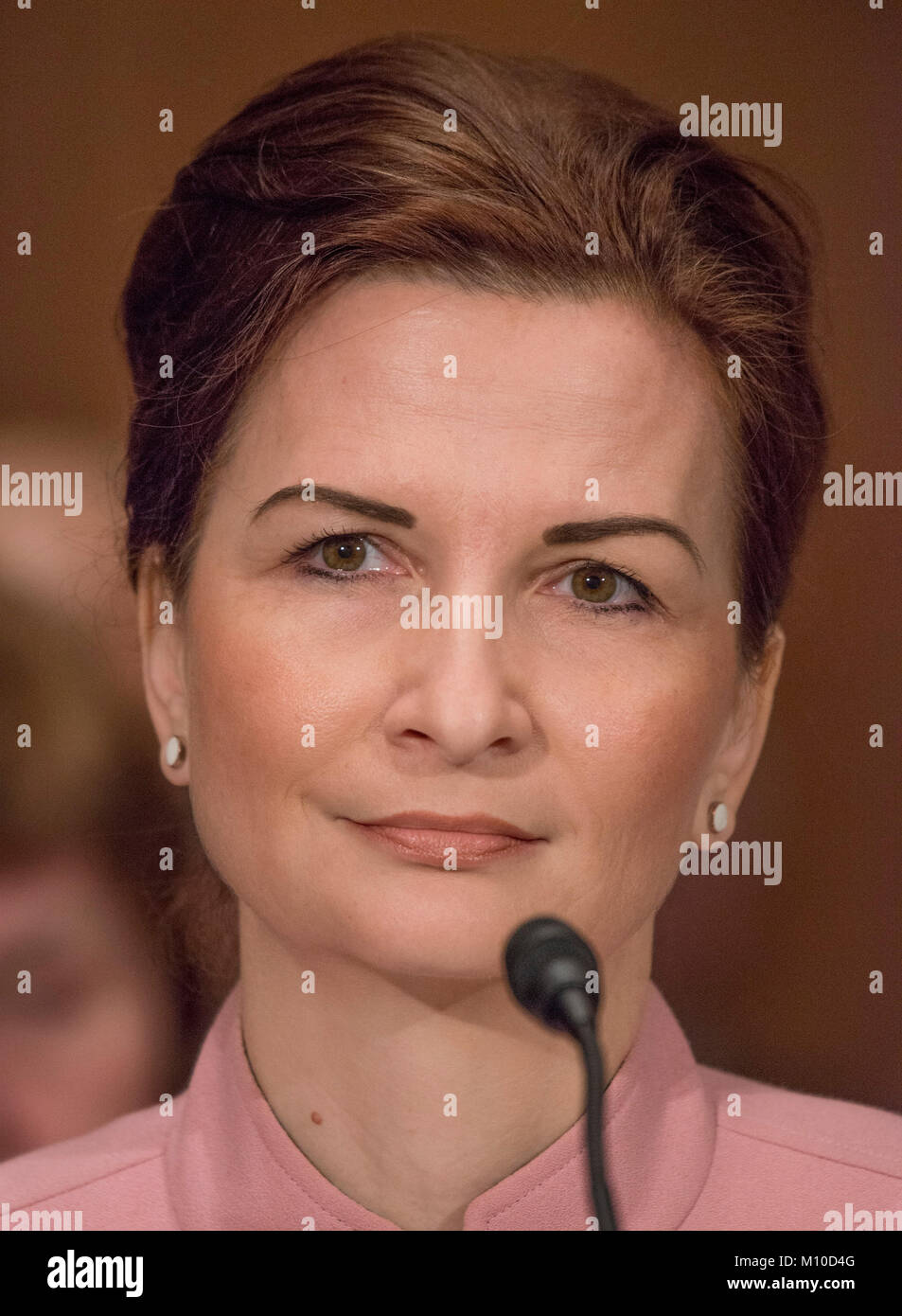 Washington, USA. 23rd Jan, 2018. Jelena McWilliams testifies before the ...