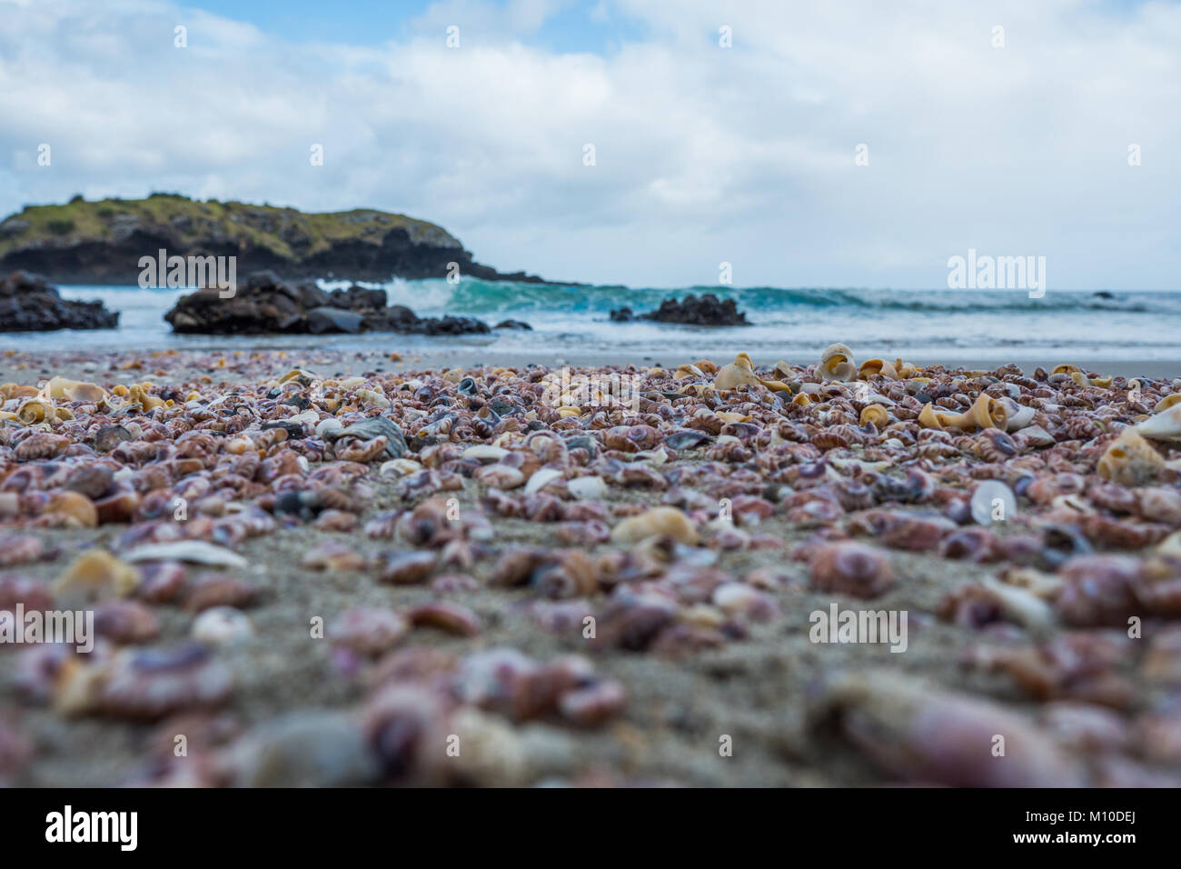 Clouds over sea shells on beach at Spirits Bay, Northland, New Zealand ...