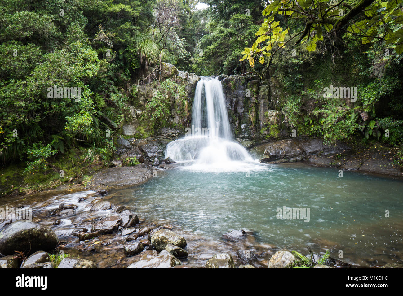 Beautiful Waiau Falls in the Coromandel, New Zealand Stock Photo - Alamy