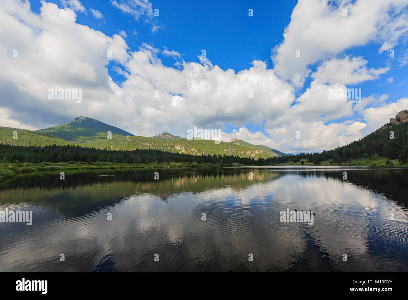 Afternoon view of the beautiful Lily Lake, Rocky Mountain National Park ...