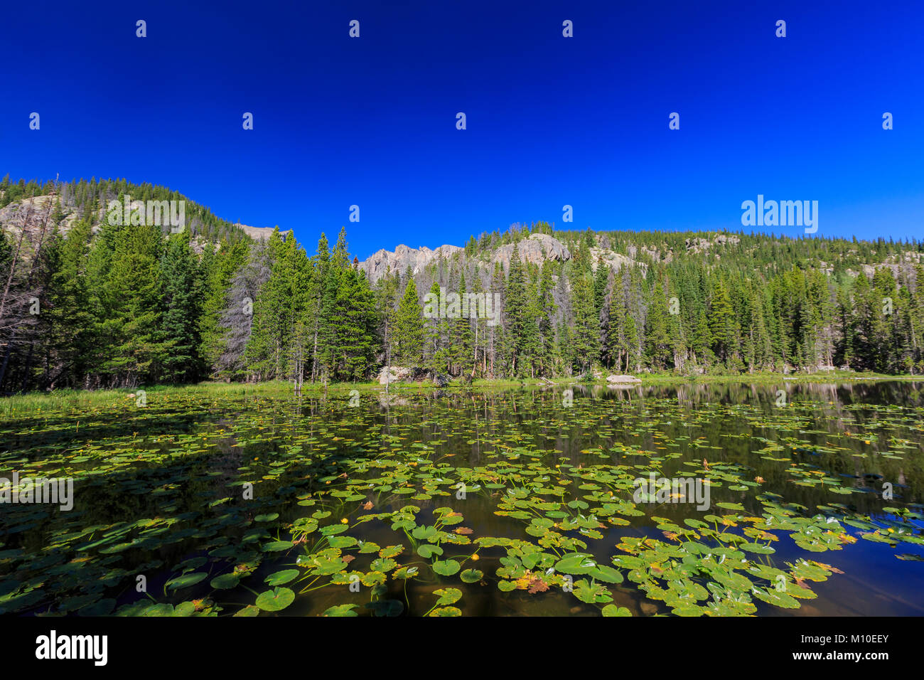 The beautiful Nymph Lake with reflection and clear water, Rocky ...
