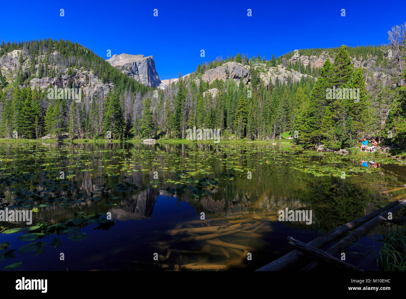 The beautiful Nymph Lake with reflection and clear water, Rocky ...