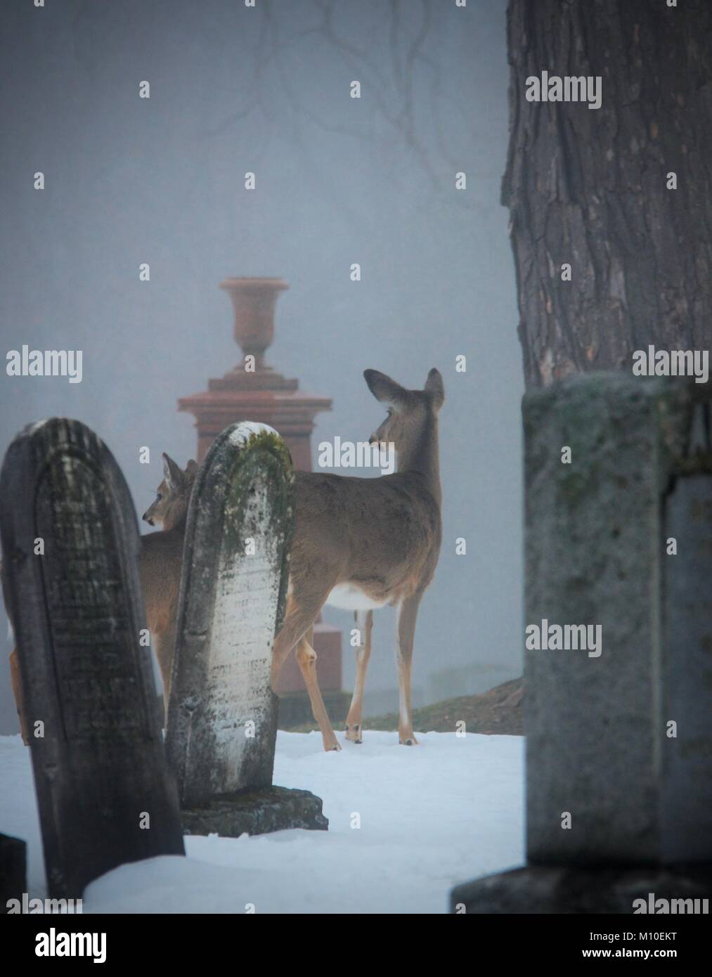 First crematorium hi-res stock photography and images - Alamy