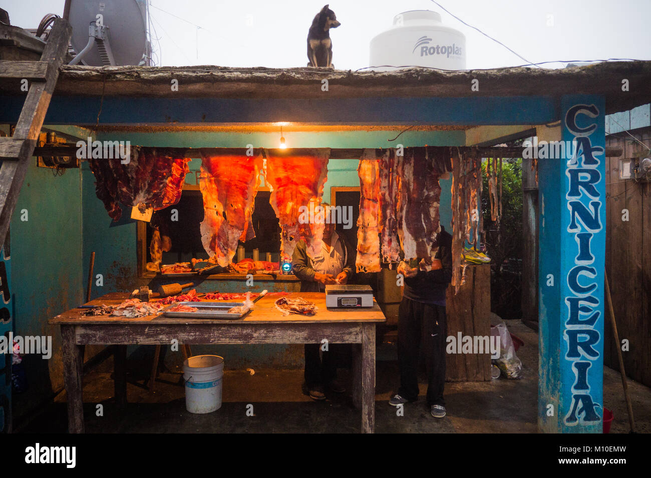 Dog butcher hi-res stock photography and images - Alamy