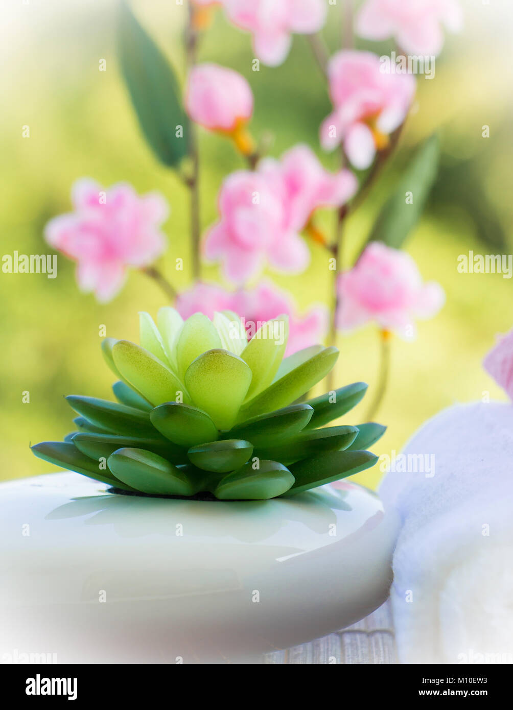 Natural Day Spa Wellness Means Luxurious Relaxing Salon Stock Photo - Alamy