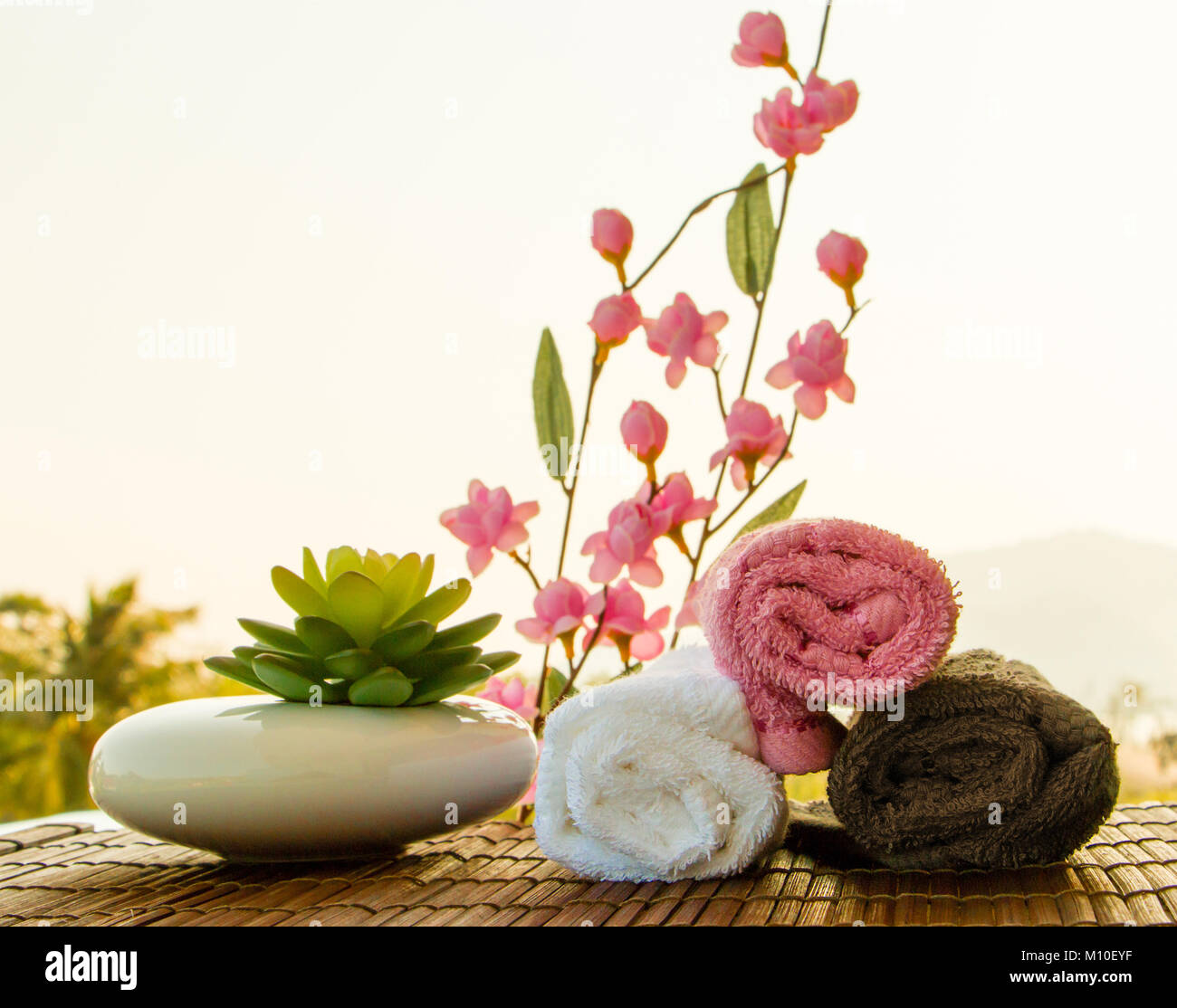 Beauty Health Spa Wellness Means Luxurious Relaxing Salon Stock Photo ...