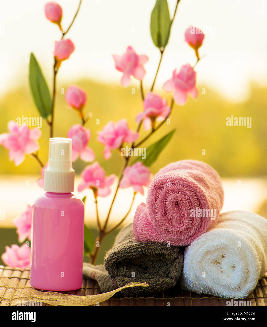 Spas Setting Concept Showing Relaxing Beauty and Wellness Stock Photo ...