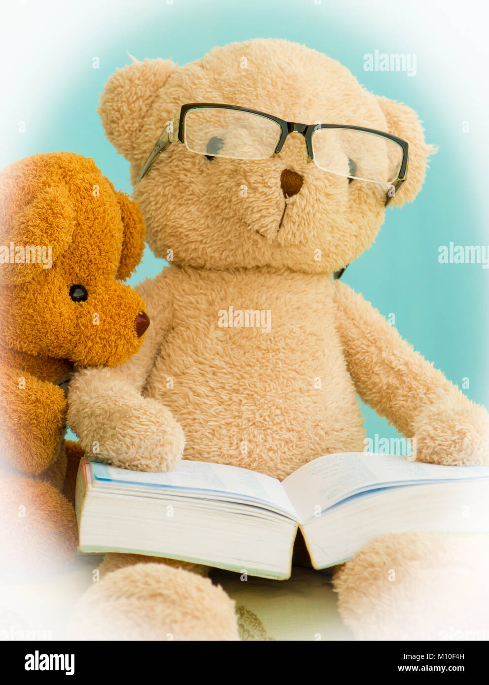 Teddy Bear Reading A Book For Education Stock Photo - Alamy