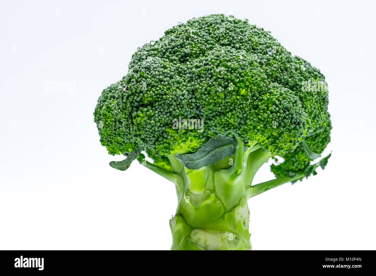 Vitamin b food with broccoli hi-res stock photography and images - Alamy