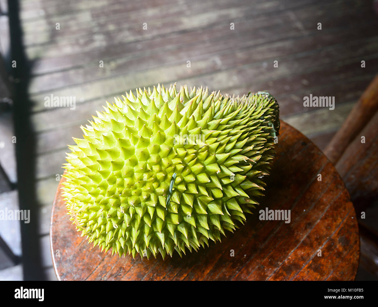 Spiky durian hi-res stock photography and images - Alamy