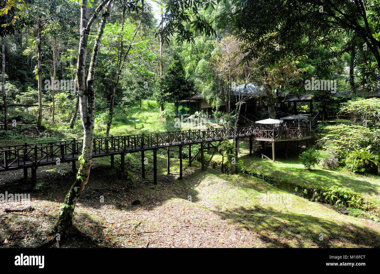 View of the boardwalk and terrace at Tabin Wildlife Resort, Sabah ...
