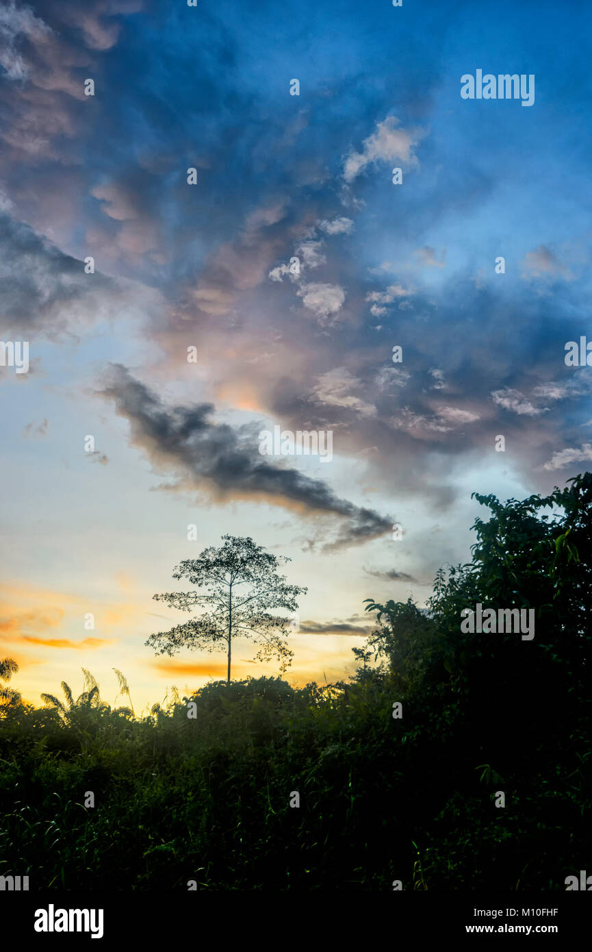 Spectacular sunset in Tabin Wildlife Reserve, Sabah, Borneo, Malaysia ...