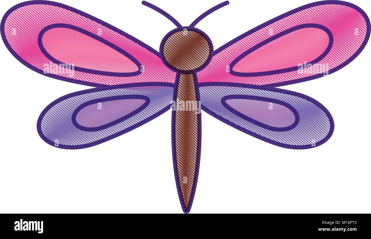 dragonfly insect spring season pictogram Stock Vector Image & Art - Alamy