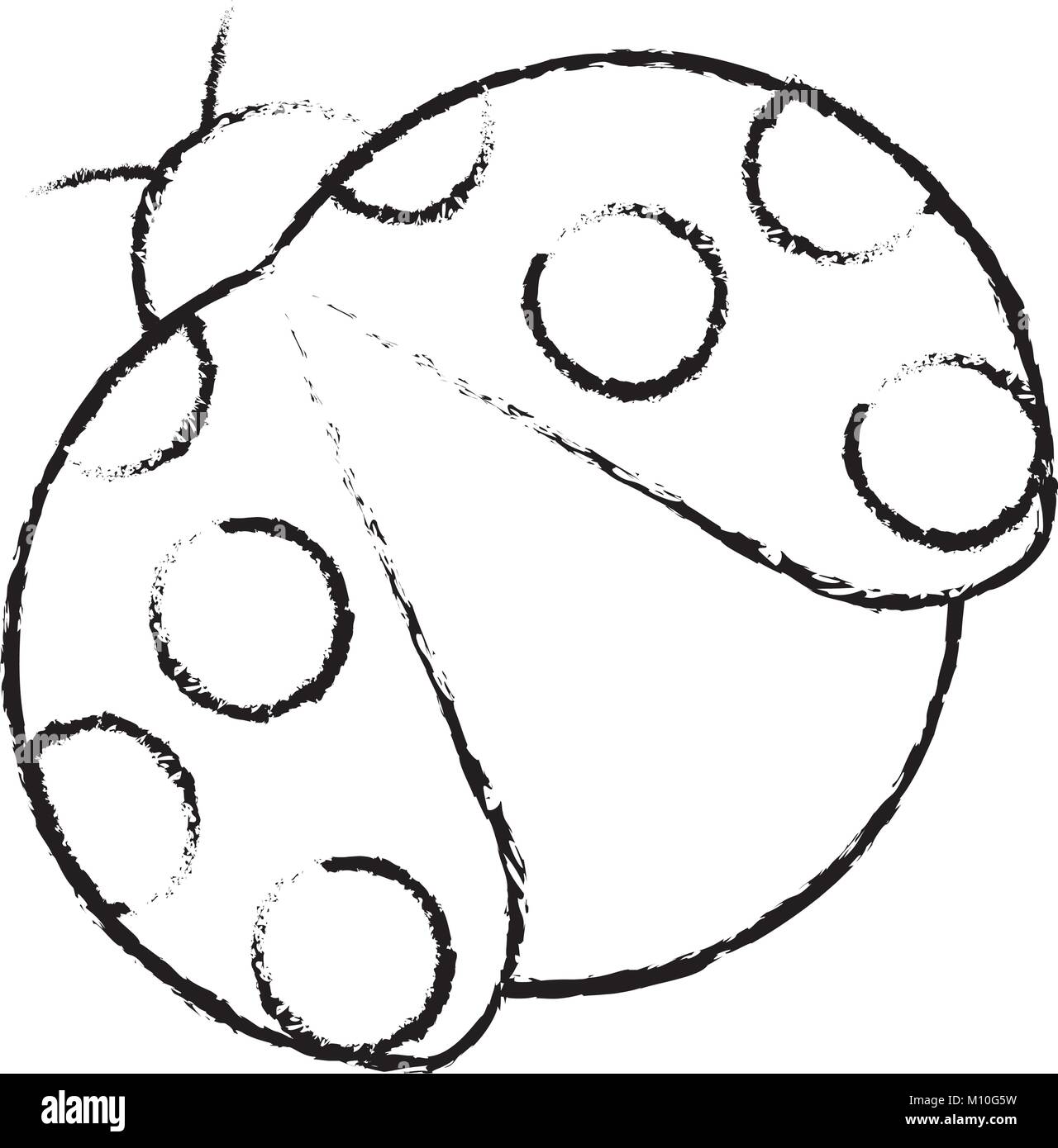 Small ladybug illustration vector Black and White Stock Photos & Images ...
