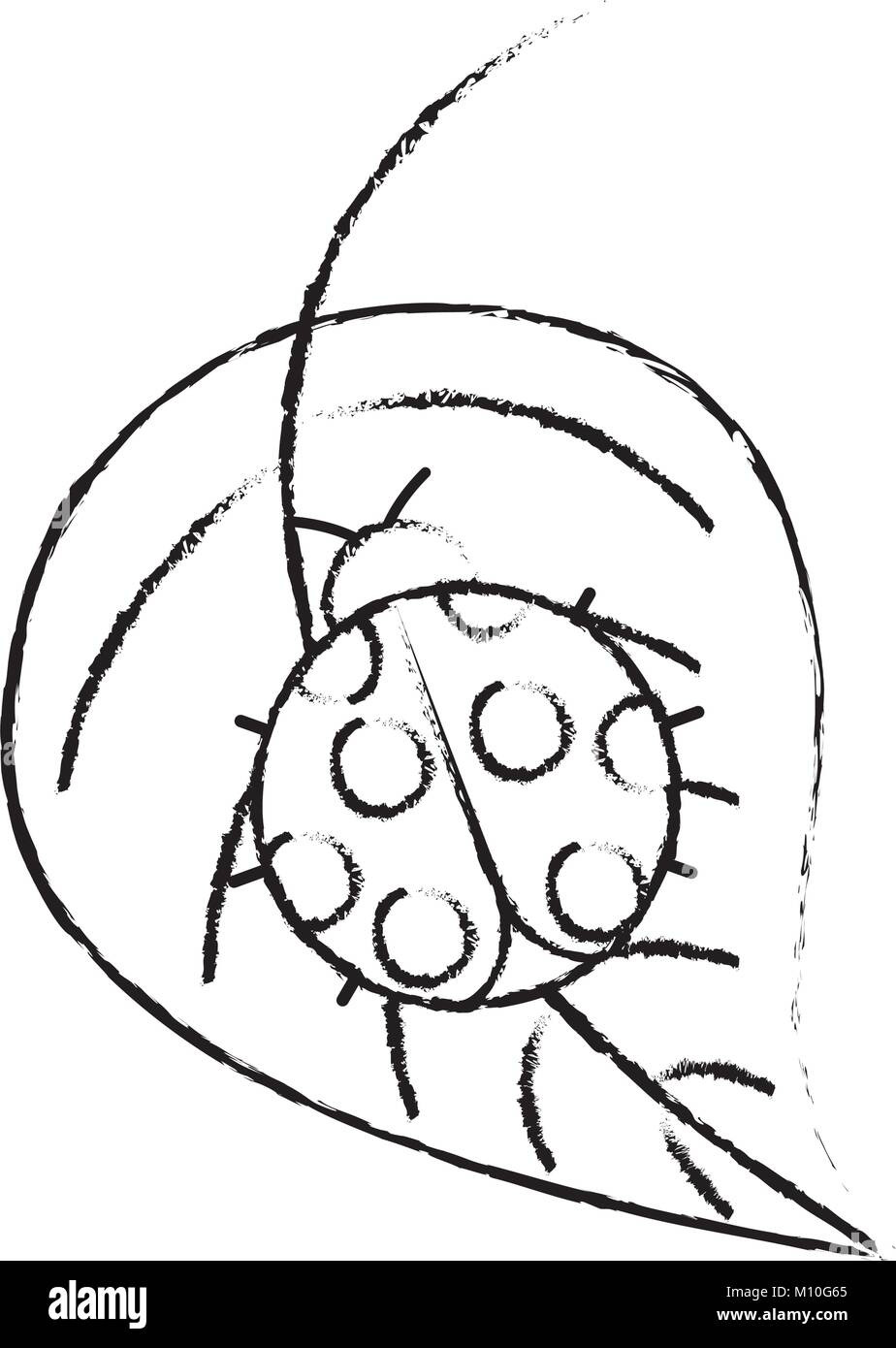 ladybug on leaf spring time Stock Vector Image & Art - Alamy