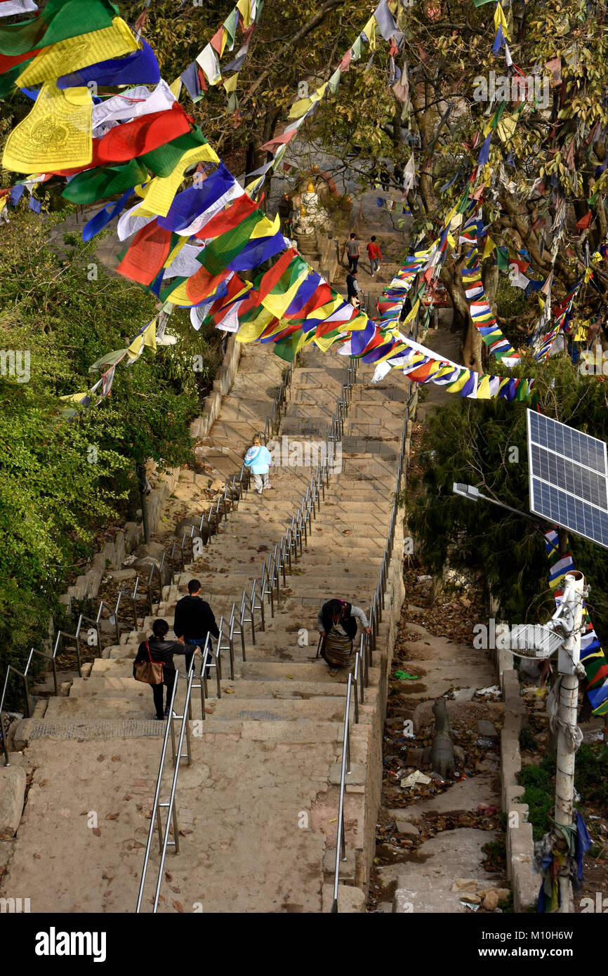 Stairs down from the Monkey Temple in kathmandu, Nepal Stock Photo - Alamy