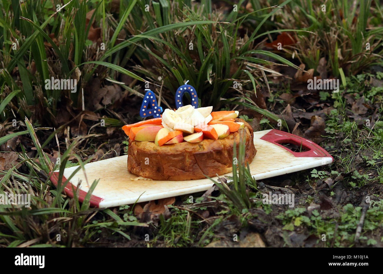 Kingut the Malayan Tapir's birthday cake made of his favourite treats ...