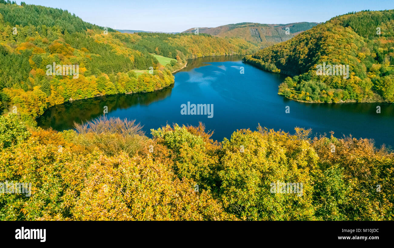 Bird's eye view over beautiful landscape with a lake and green forest ...