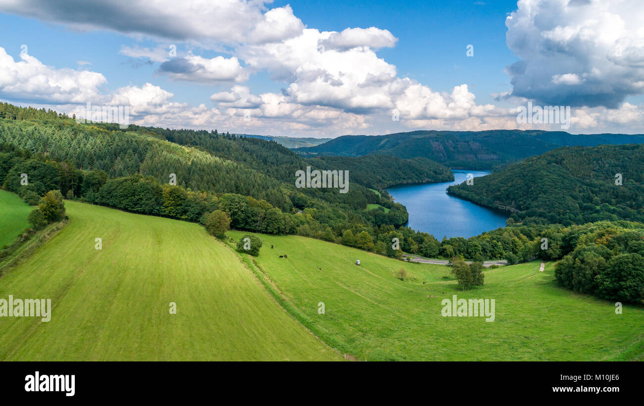 Bird's eye view over beautiful landscape with a lake and green forest ...
