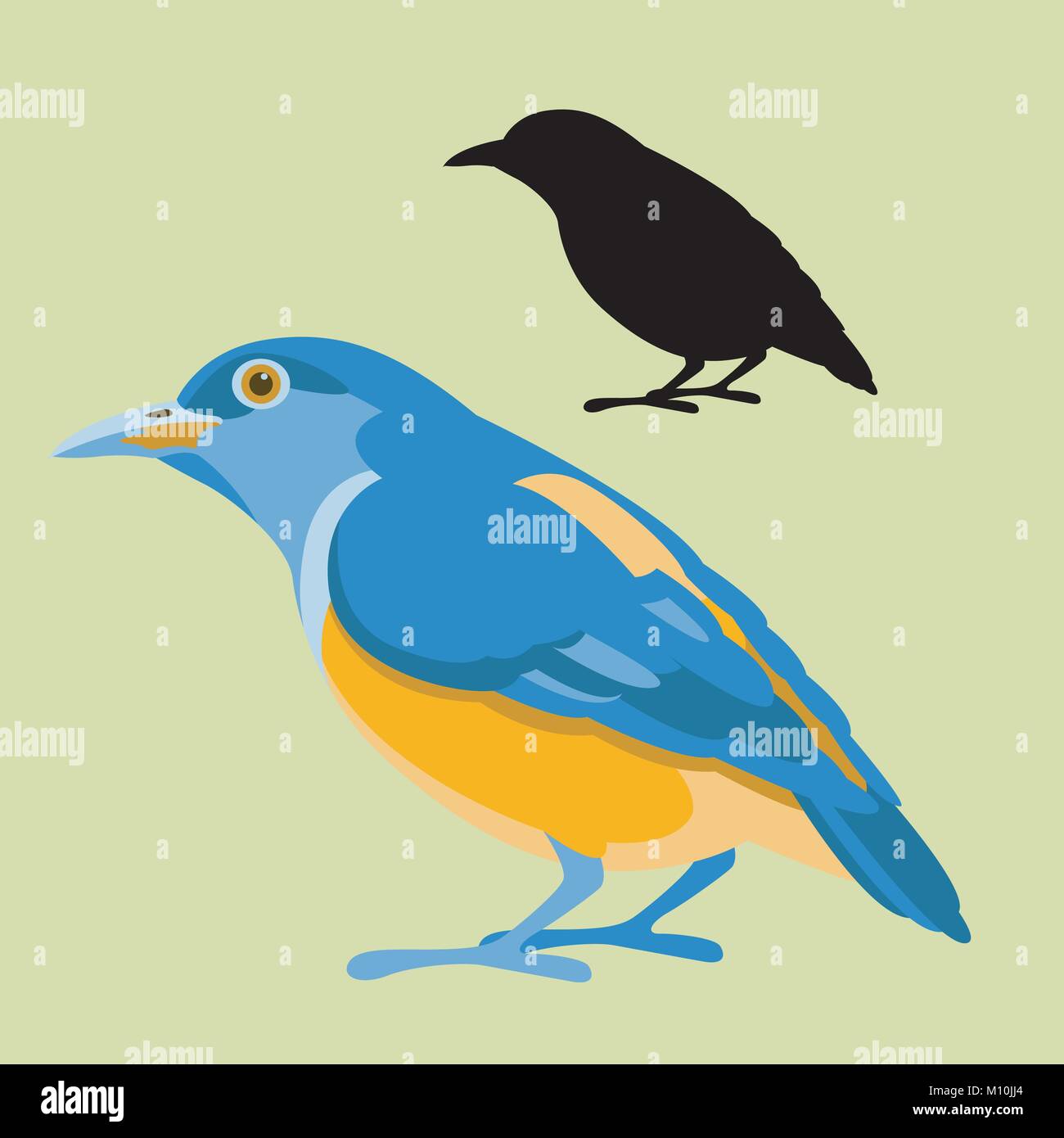 Woodpecker bird head profile view Stock Vector Images - Alamy