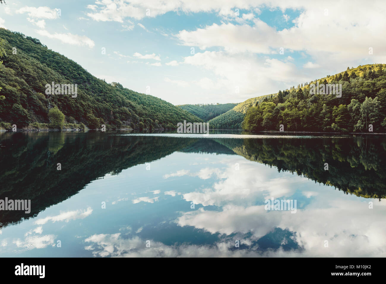 Bird's eye view over beautiful landscape with a lake and green forest ...