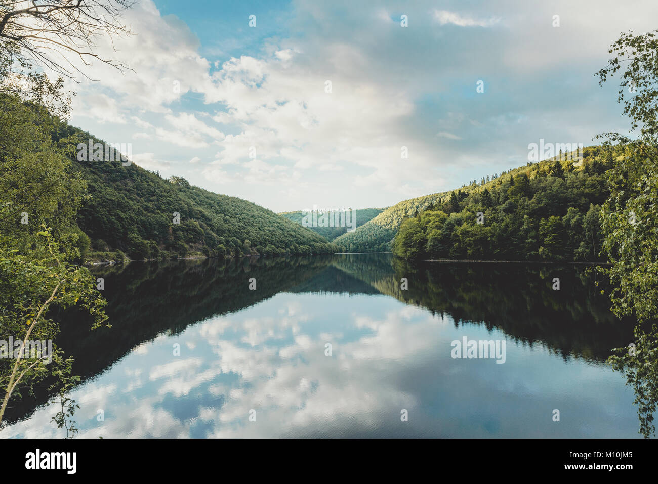 Bird's eye view over beautiful landscape with a lake and green forest ...