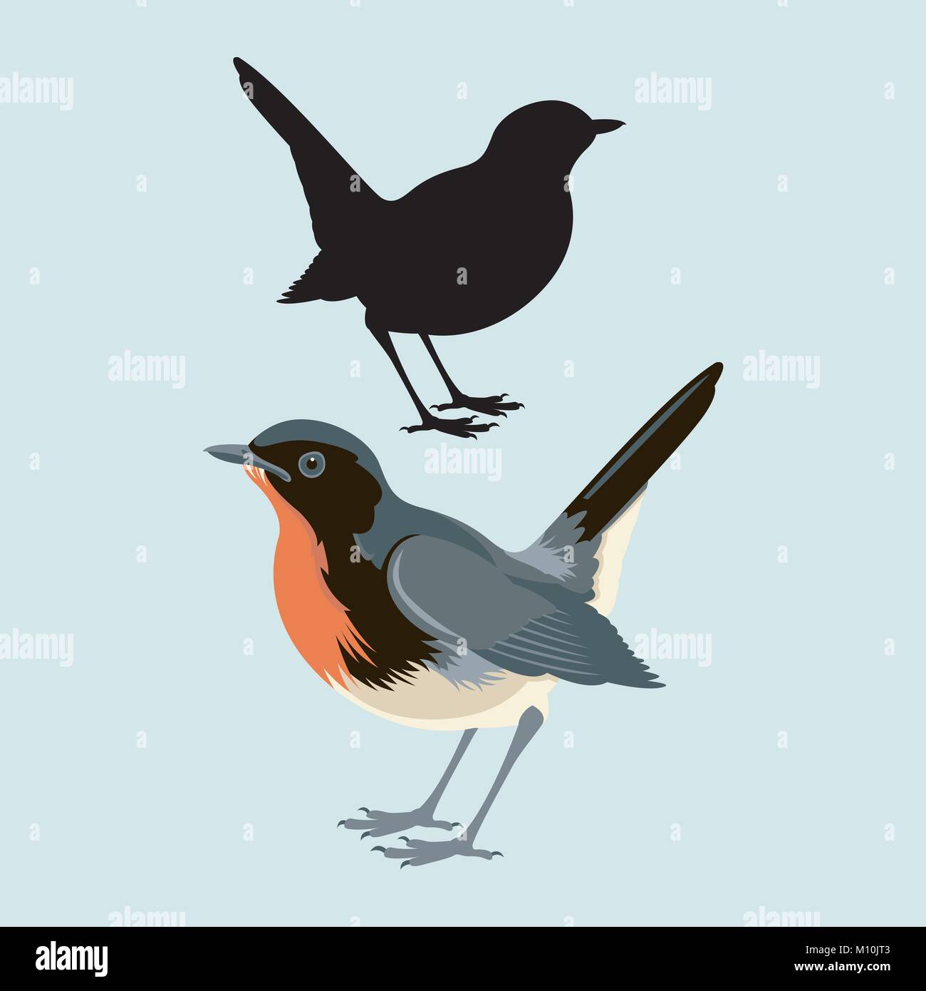 Firethroat bird vector illustration flat style black silhouette profile ...