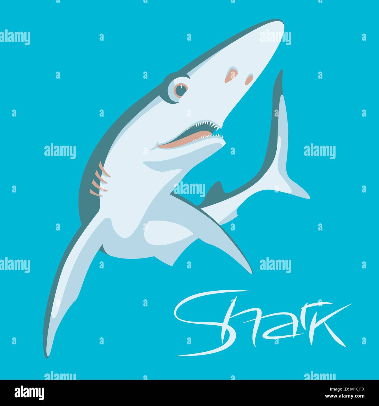 shark vector illustration flat style profile view Stock Vector Image ...