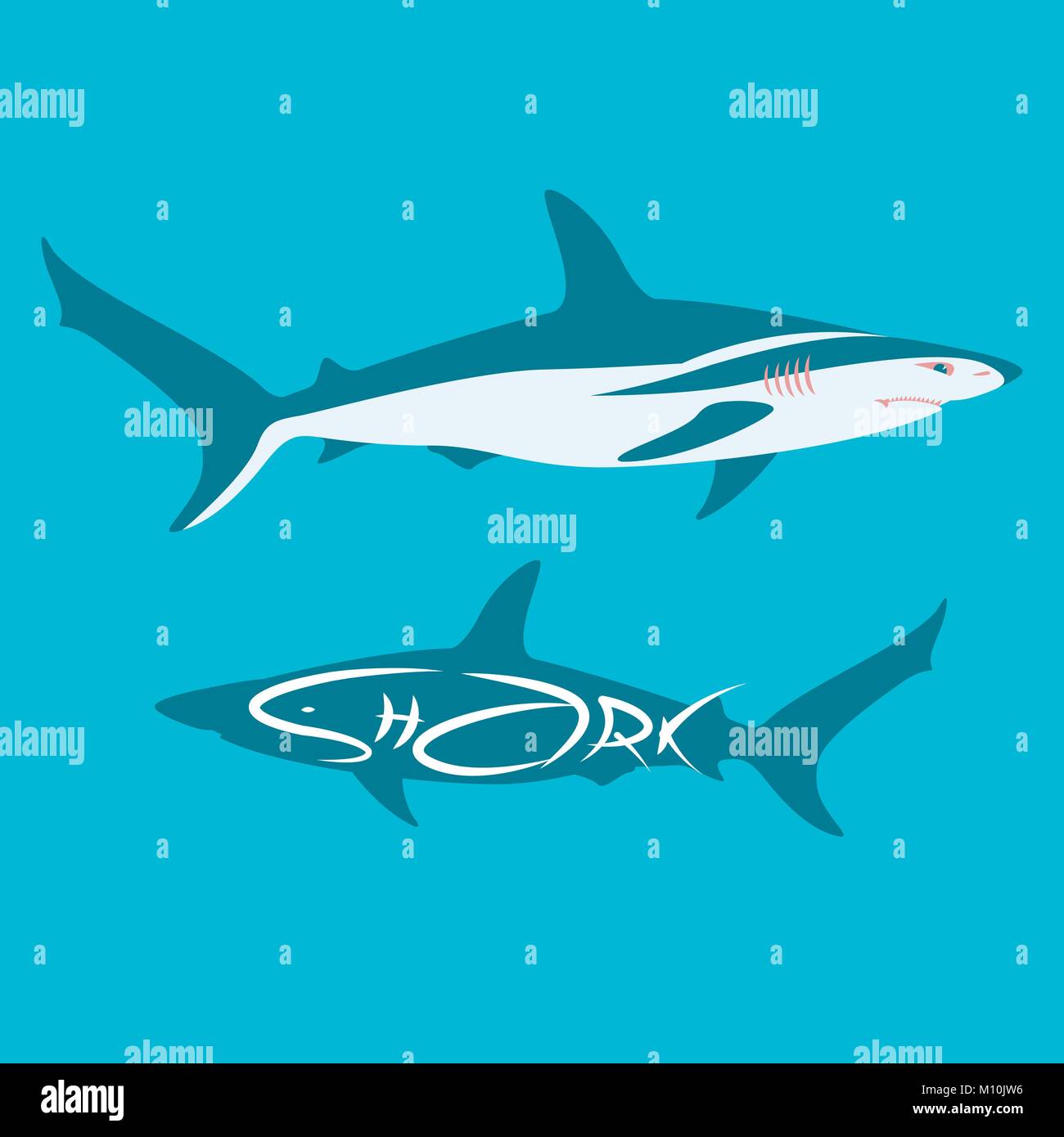 Great White Shark Profile High Resolution Stock Photography and Images ...