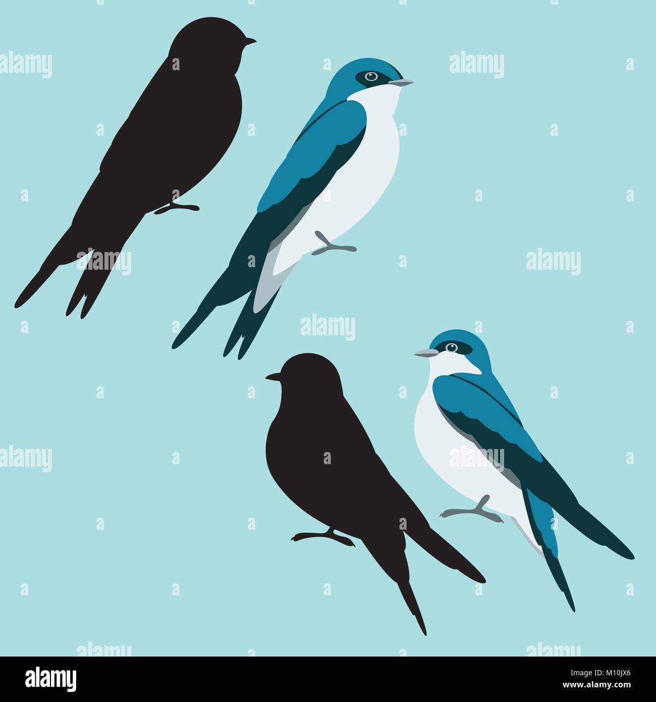 swallow bird vector illustration flat style black silhouette profile ...
