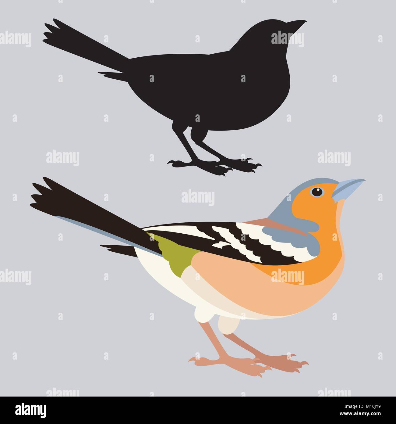 Finch habitat Stock Vector Images - Alamy