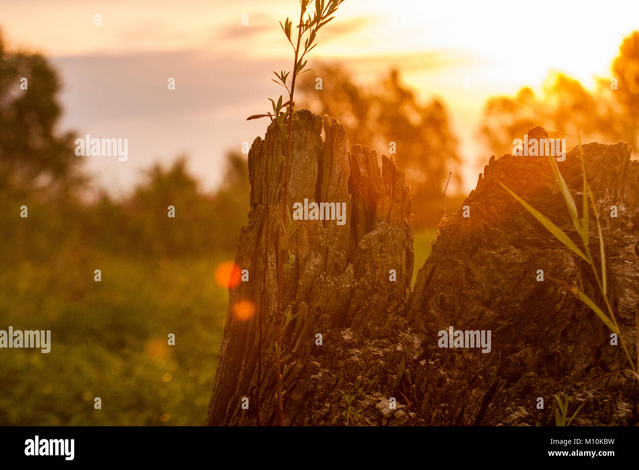 Colorful sun rays hi-res stock photography and images - Alamy