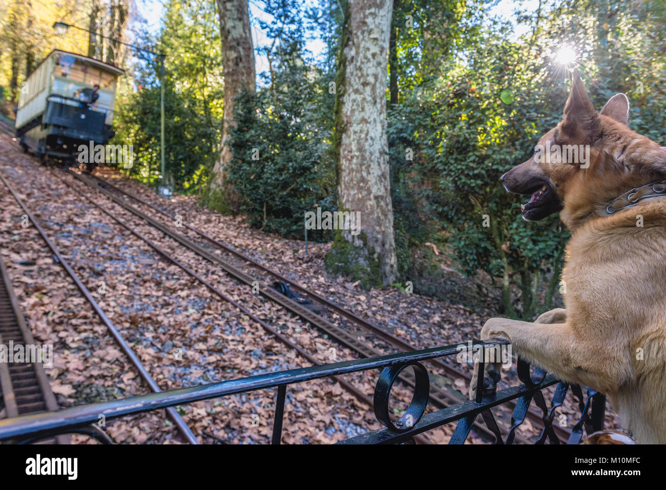 Moved by water counterbalancing funicular of Bom Jesus do Monte (Good ...
