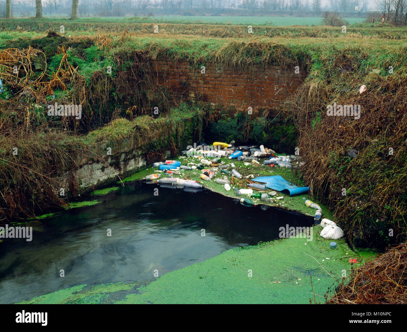 Italy, Lombardy, Province of Cremona, Water Pollution Stock Photo - Alamy