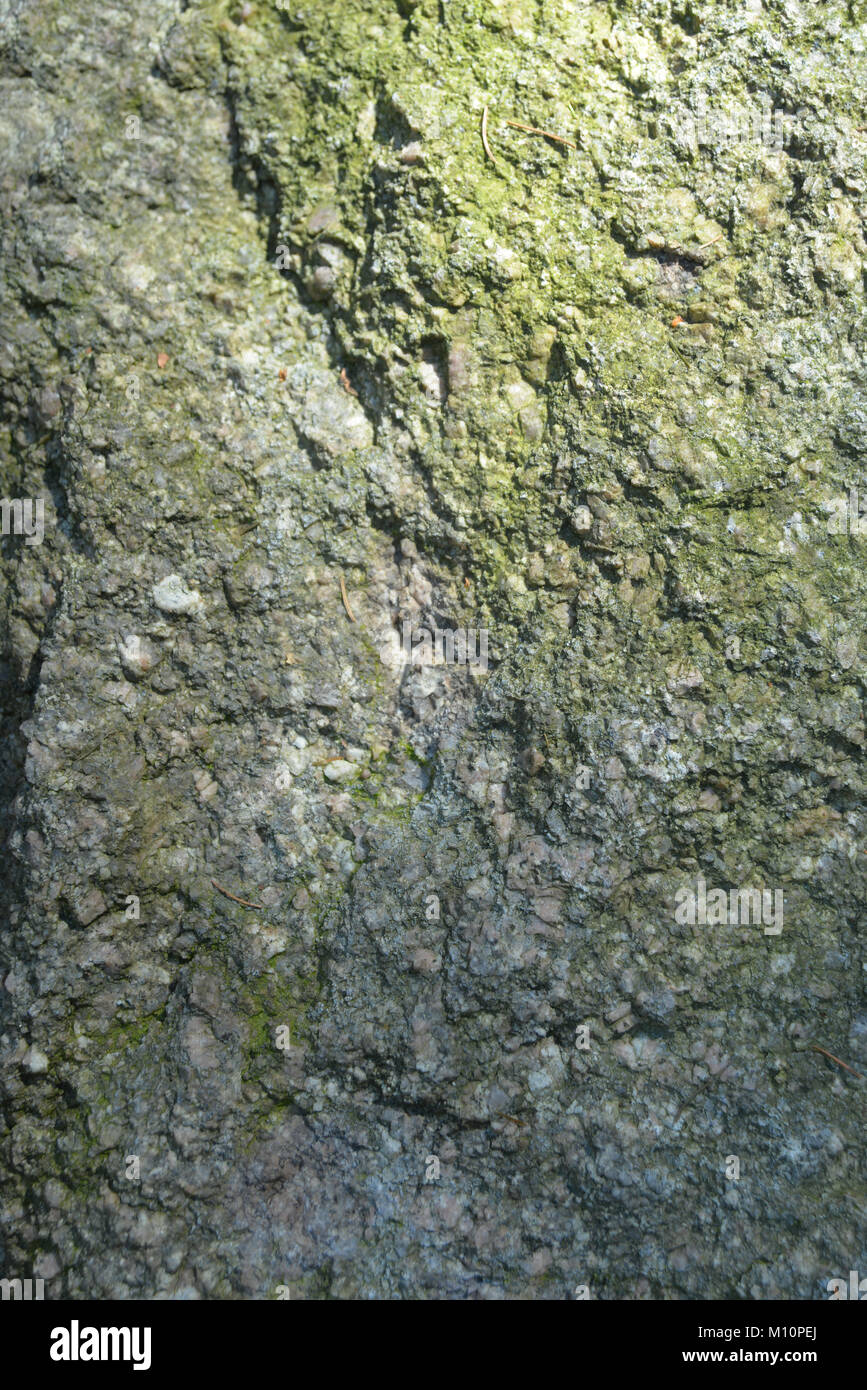 the structure of the old rocks in close-up Stock Photo - Alamy
