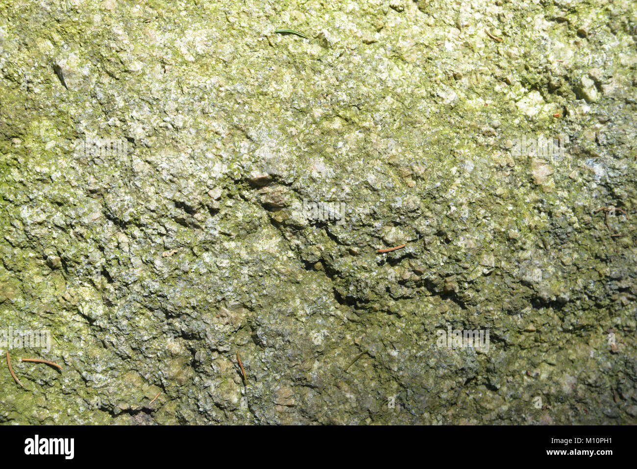 the structure of the old rocks in close-up Stock Photo - Alamy