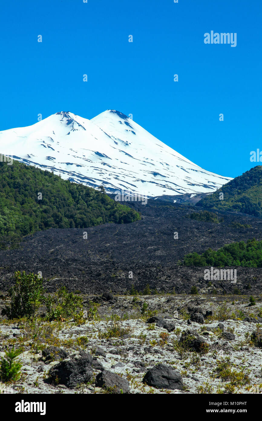 Conguillio National Park (Chile): the Llaima Volcano Stock Photo - Alamy