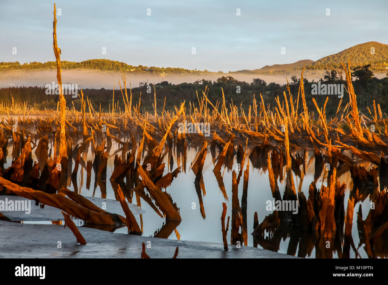 Rio chepu hi-res stock photography and images - Alamy