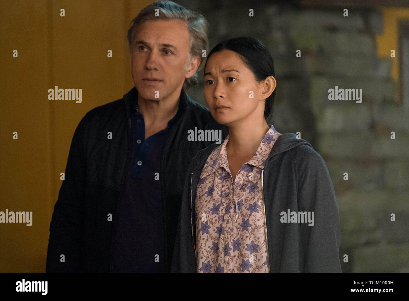 DOWNSIZING (2017) CHRISTOPH WALTZ HONG CHAU ALEXANDER PAYNE (DIR ...