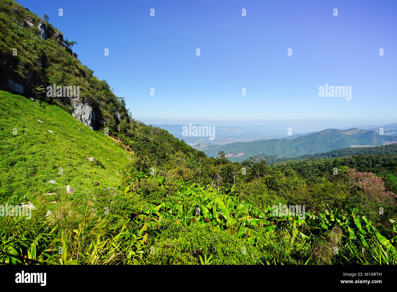 Mountain, forest and blue sky in Phu Chee Fa, Chiang Rai Thailand Stock ...