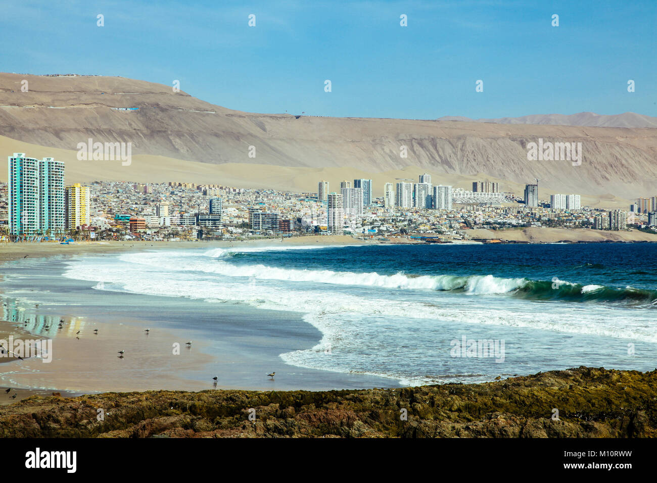 Iquique (Chile): beach of the city stuck between sand dunes and the ...