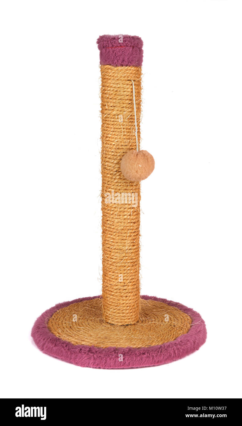 scratch pole isolated on a white background Stock Photo - Alamy
