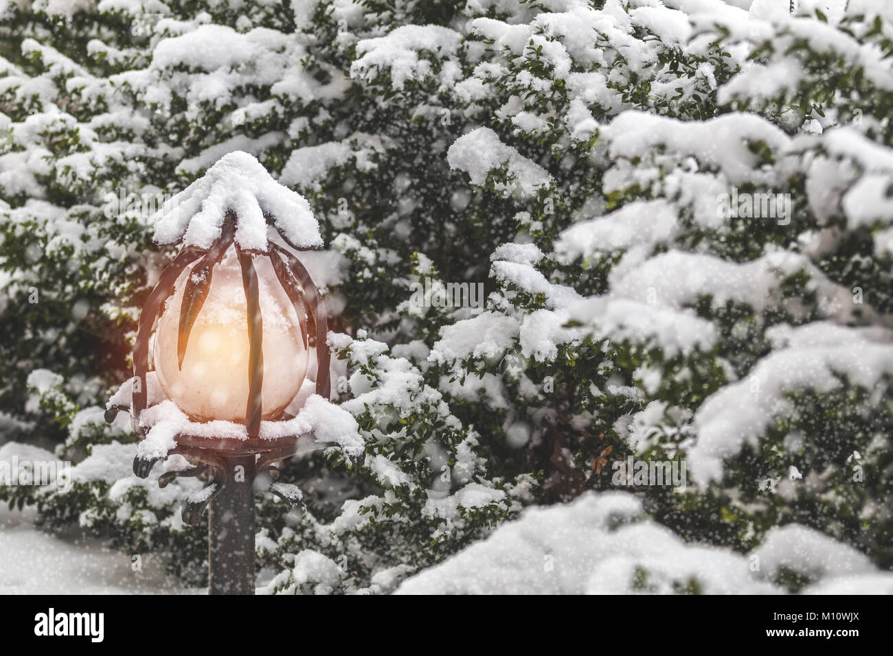 Beautiful winter background with trees cover snow and street light ...