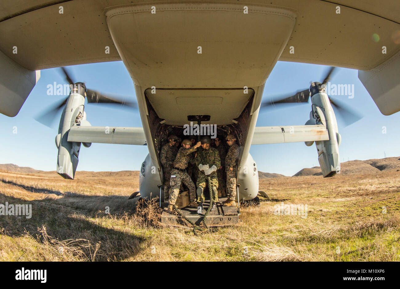 Usmc fast alpha company hi-res stock photography and images - Alamy