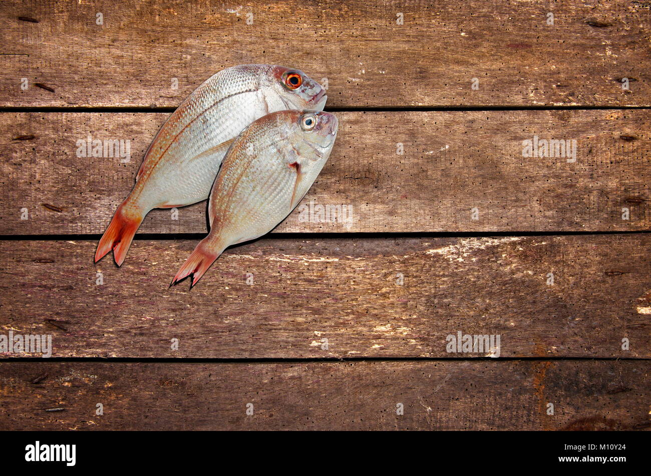 Fish on the table Stock Photo - Alamy