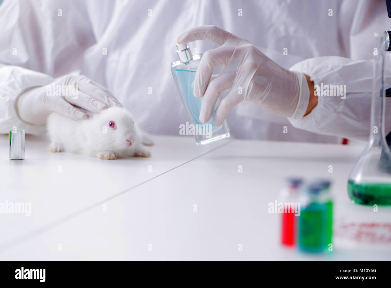 White rabbit in scientific lab experiment Stock Photo - Alamy